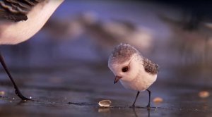 Piper (2016) Short Film Review | CineFiles Movie Reviews