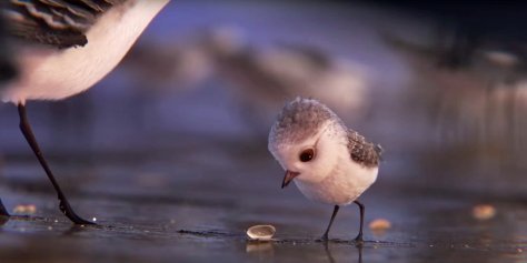 Piper (2016) Short Film Review | CineFiles Movie Reviews